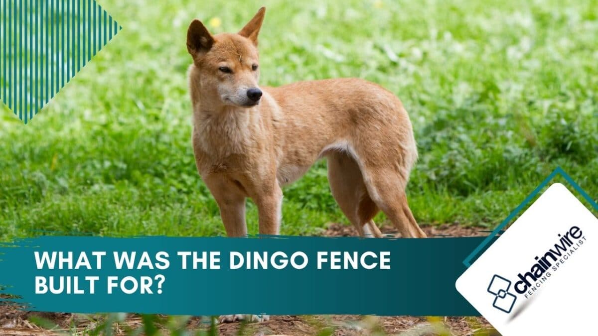 Famous and Formidable Australian Fences | Chainwire Fencing Specialist